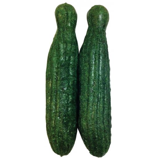 VEGGIE PATCH NIBBLES - LARGE VEGETABLES 2PK – Pet Town